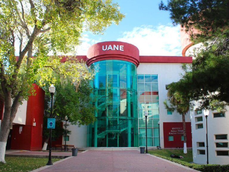 llᐈ Universidad Americana del Noreste (UANE)